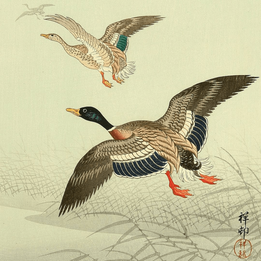 Reto de haiku: 2 de abril de 2023 – El ritmo en el haiku. Más allá de ...