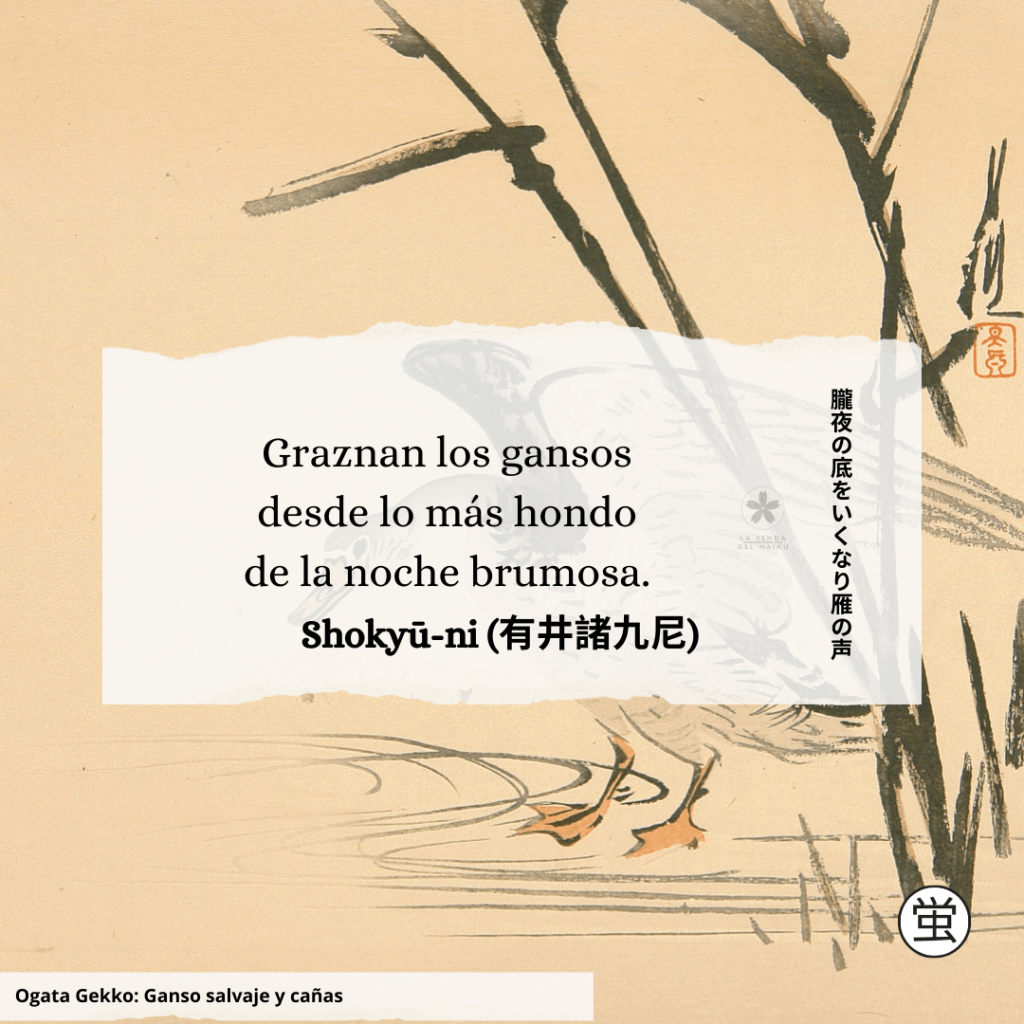 Haiga – La senda del haiku