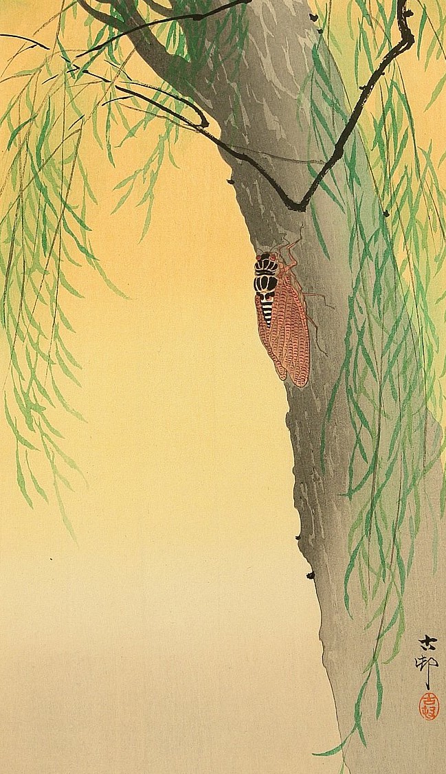 La senda del haiku – Un lugar para la divulgación y aprendizaje del ...